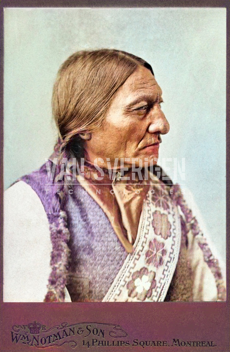 Sitting Bull Digital Art COLORIZED (Download) – Van Sverigen Marketplace